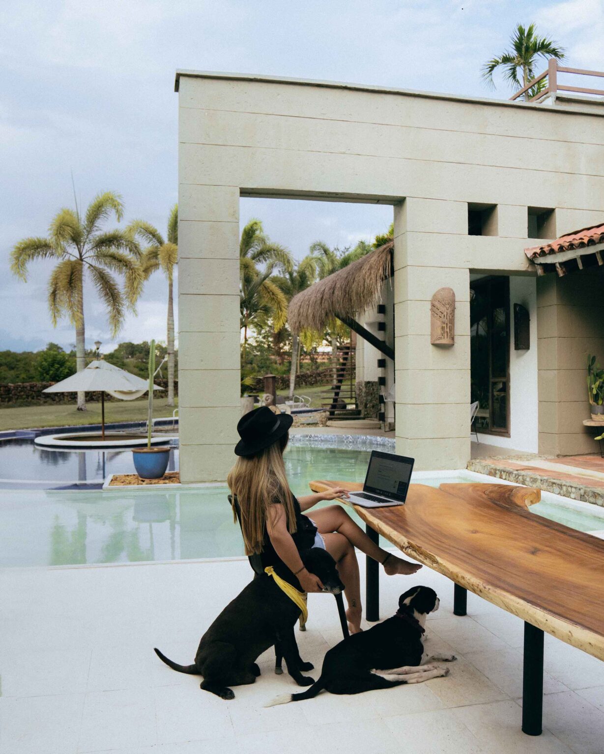 ¿Qué Es Littio?: Guía Definitiva Sobre Littio App